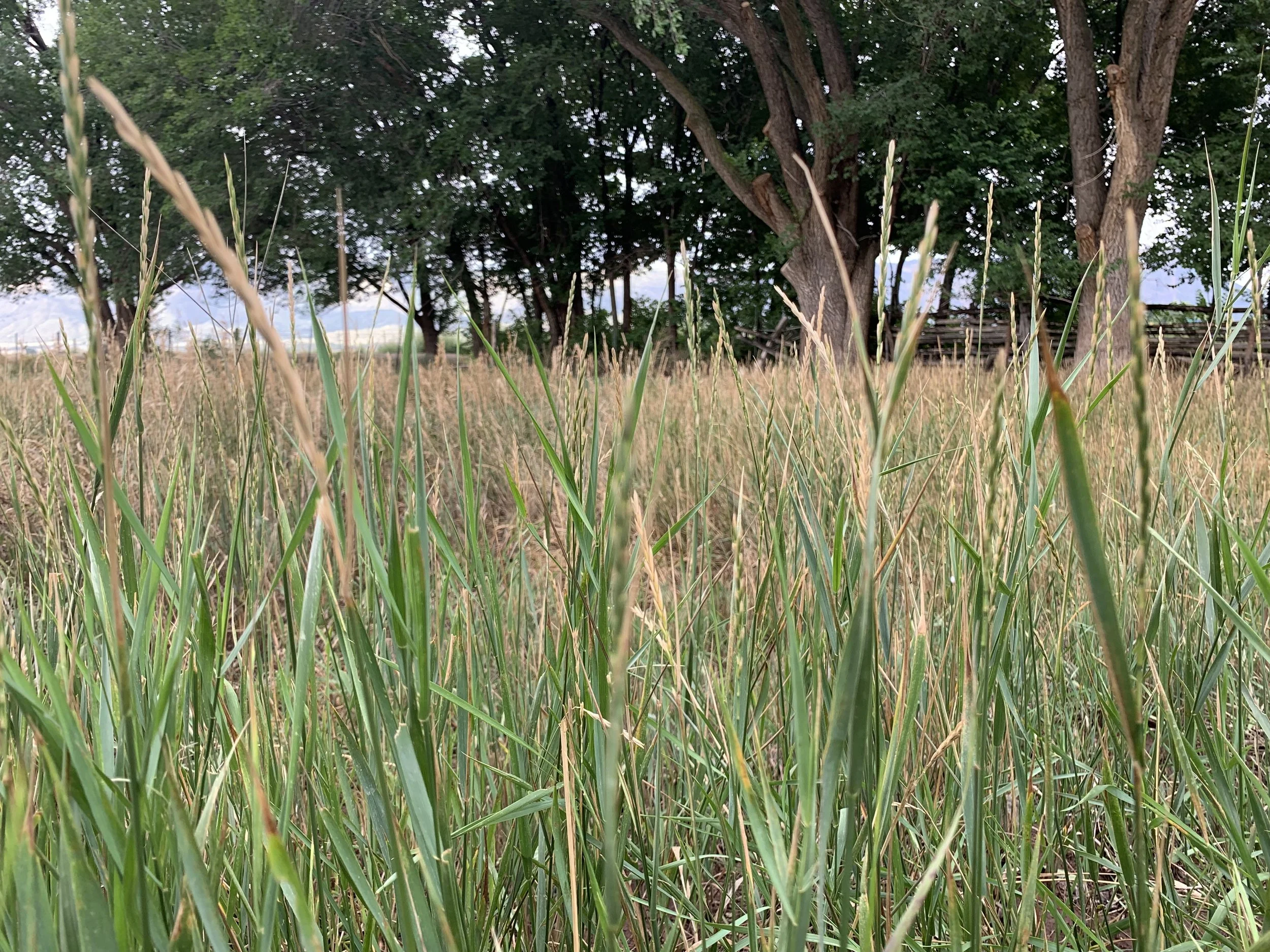 General 1 — Montezuma County CDs