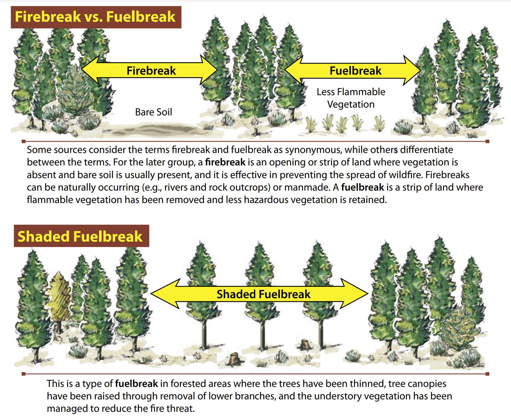 General 4 — Montezuma County CDs