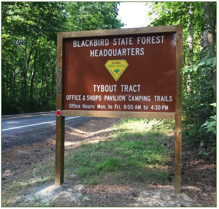 Alabama Geography, Flora, & Fauna — Enviropedia
