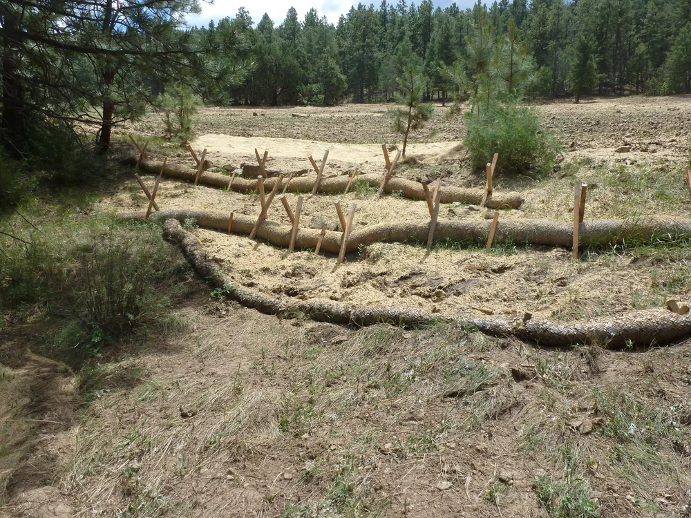 Reclamation Planning & Monitoring — Environmental Consulting - HWA ...