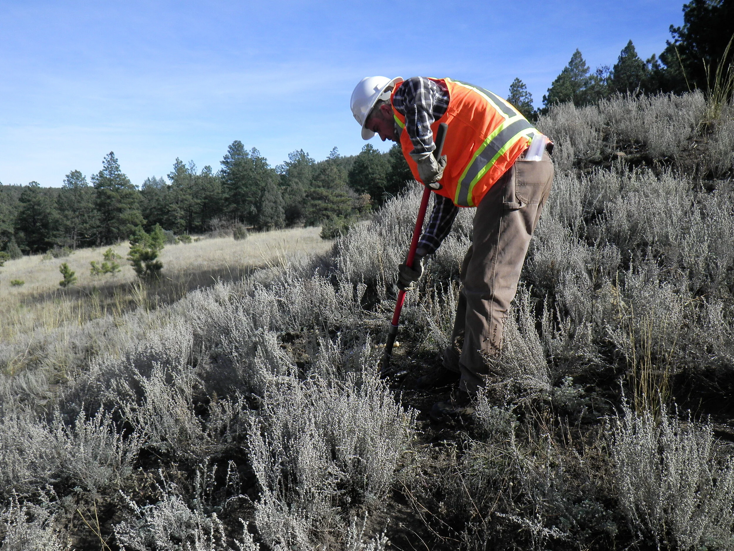 Reclamation Planning & Monitoring — Environmental Consulting - HWA ...