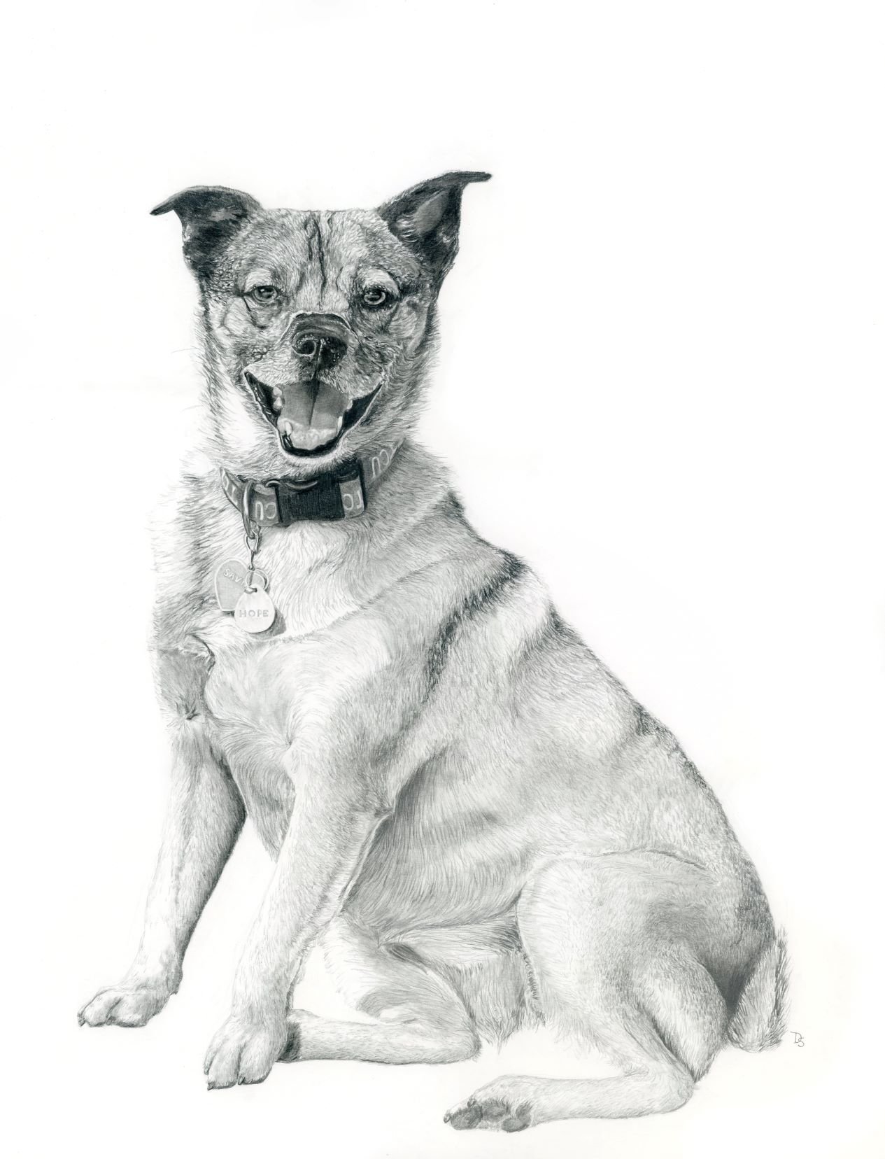Realistic Pencil Drawings Of Dogs