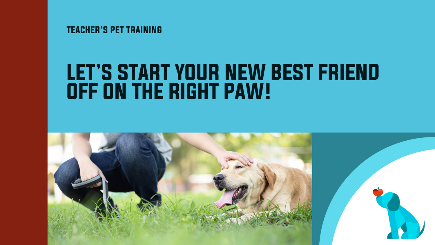 Off On The Right Paw — Teacher's Pet Training Academy