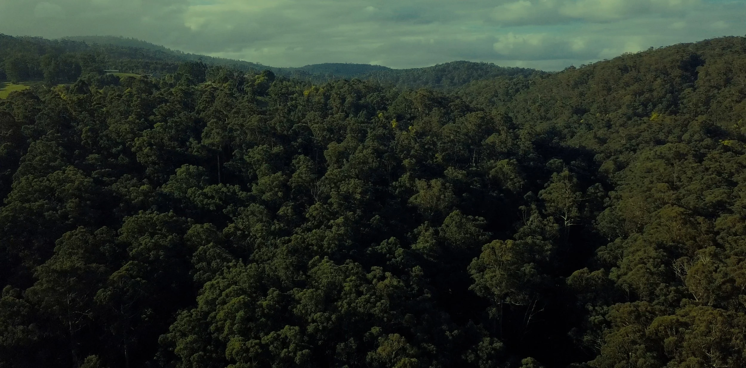 Jackson's Track — CheekyMac Productions