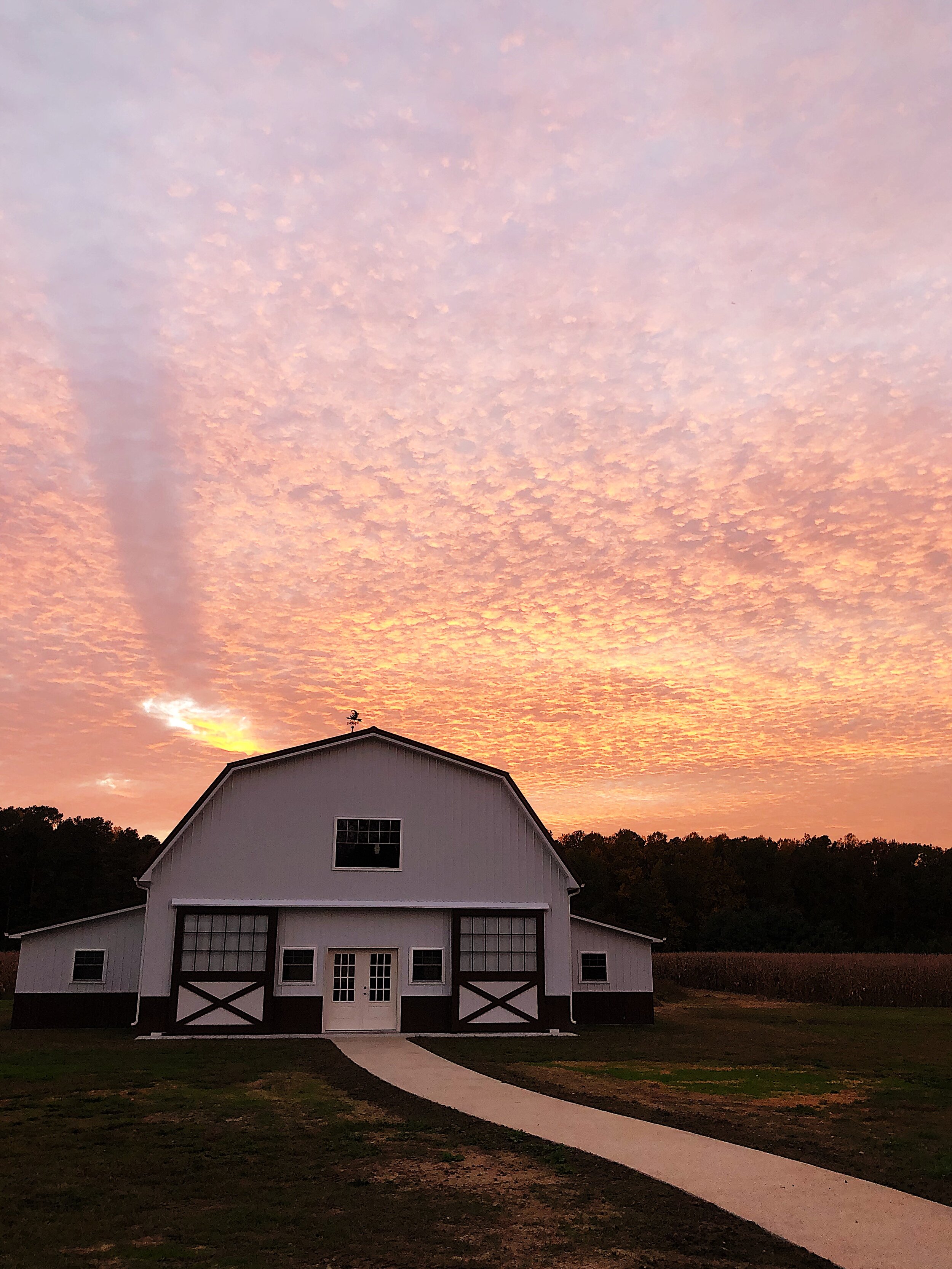 History of Loblolly Acres in Viola Delaware — Loblolly Acres