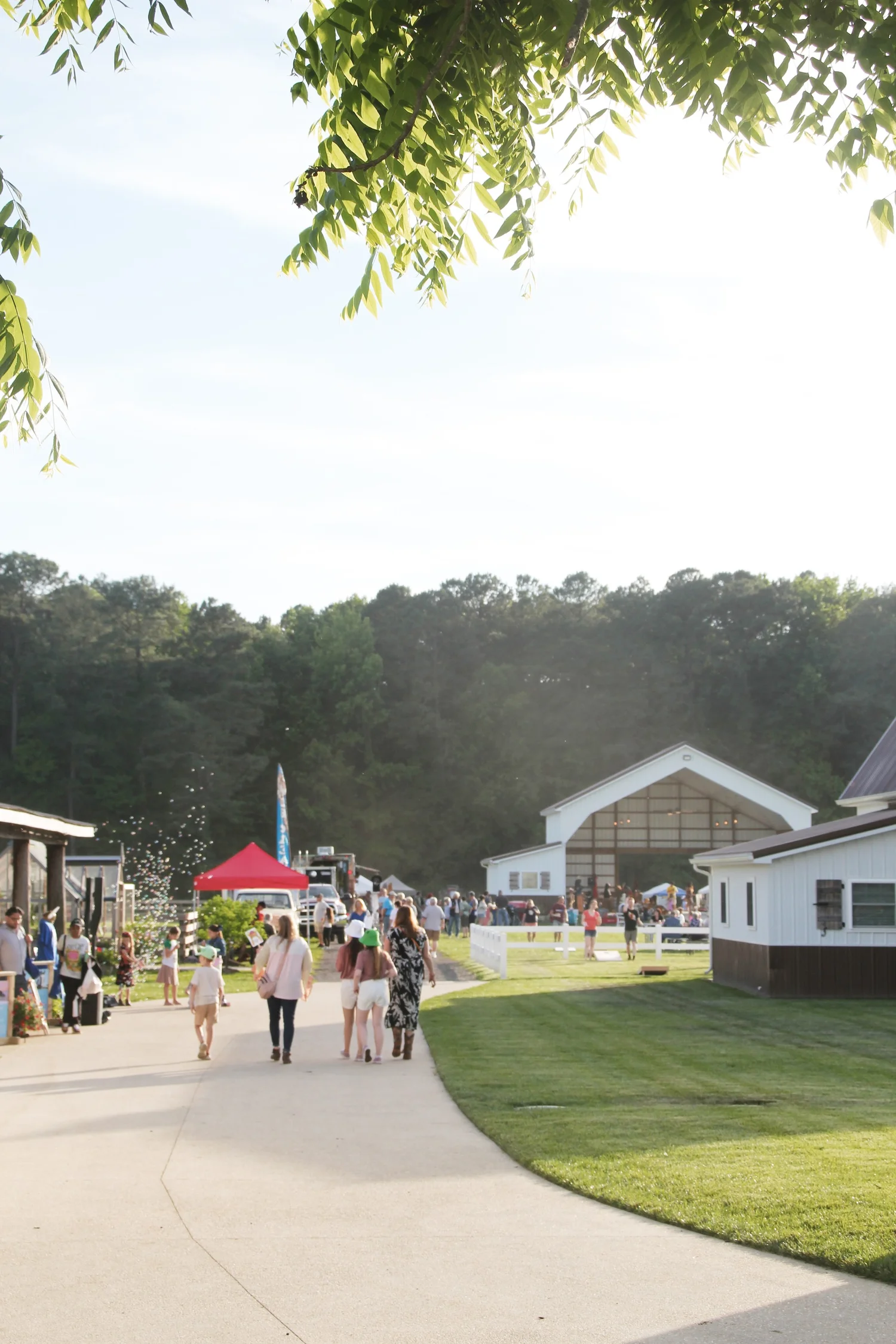 KNOW BEFORE YOU GO — Loblolly Acres