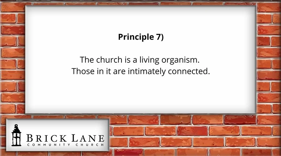 Biblical Principles of Church (Part 2) - Pastor Steve Estes — Delve