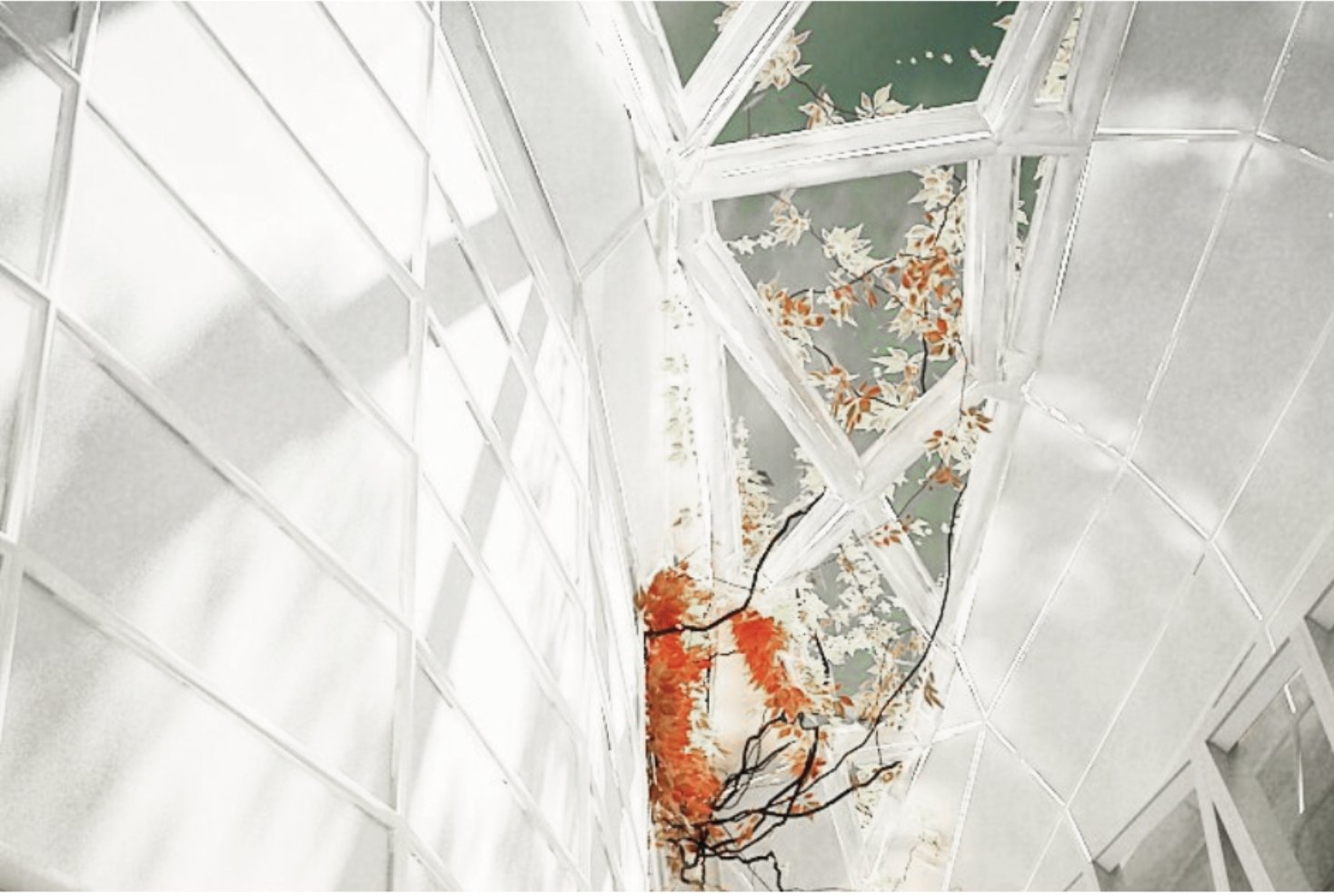 Architectural Design, Biophilia, Sustainability, Natural forms ...