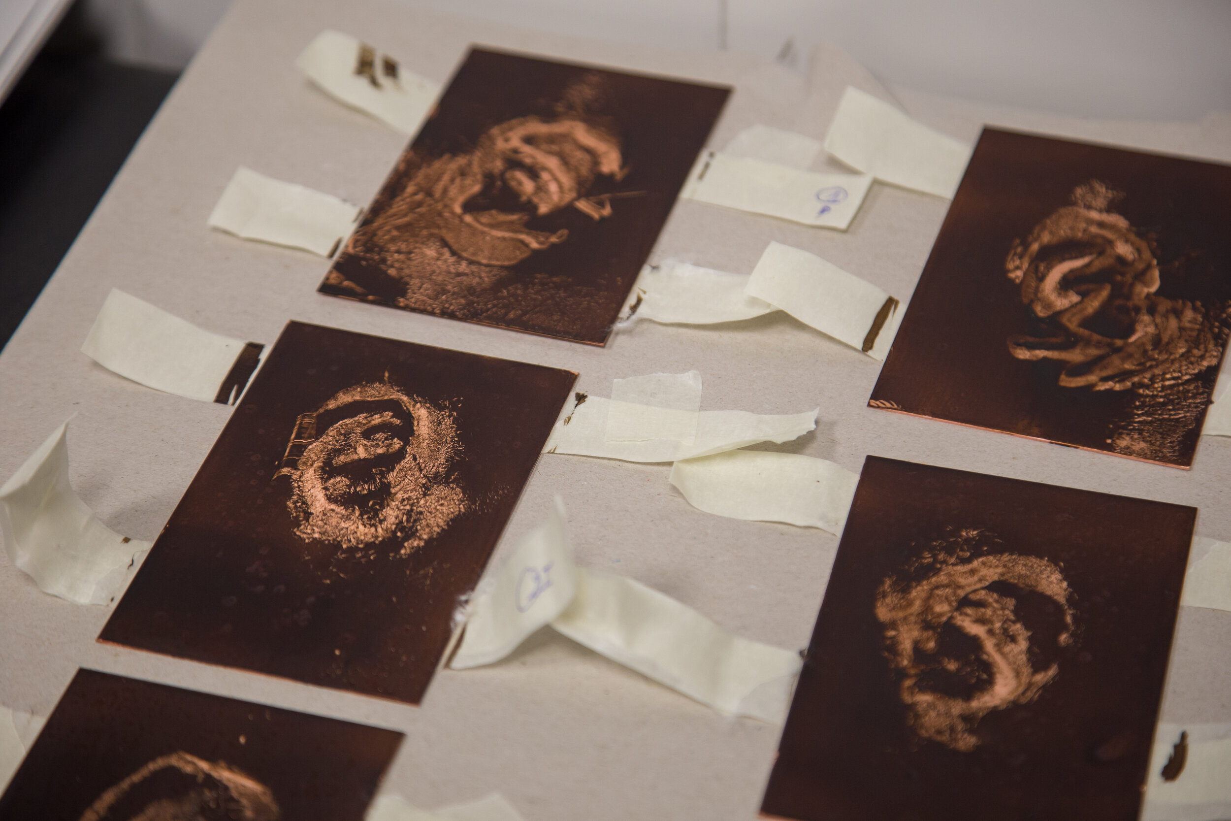 Selva Aparicio is a Spanish-born, Chicago-based artist working across ...