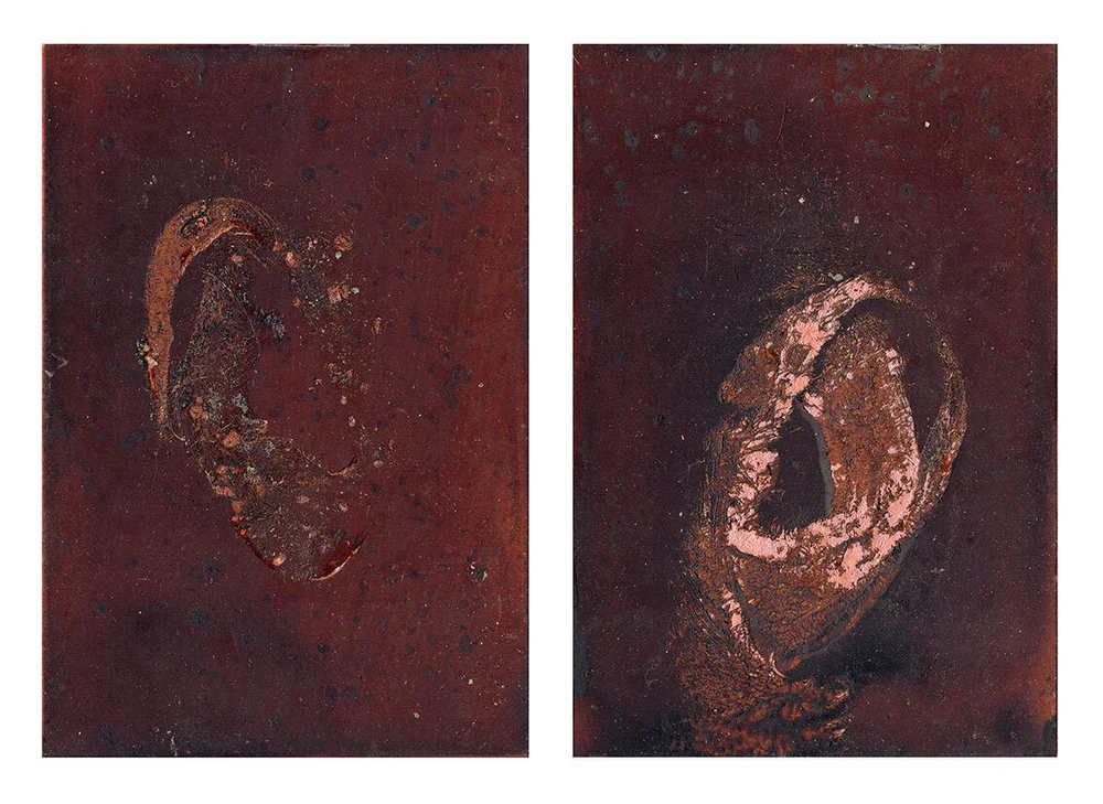 Selva Aparicio is a Spanish-born, Chicago-based artist working across ...