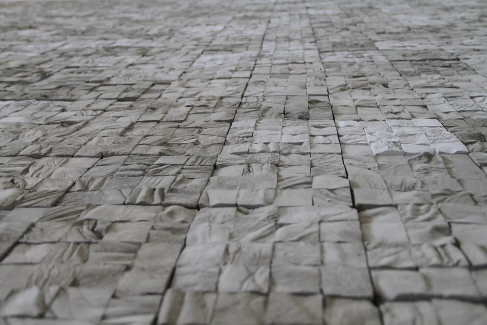 Selva Aparicio is a Spanish-born, Chicago-based artist working across ...