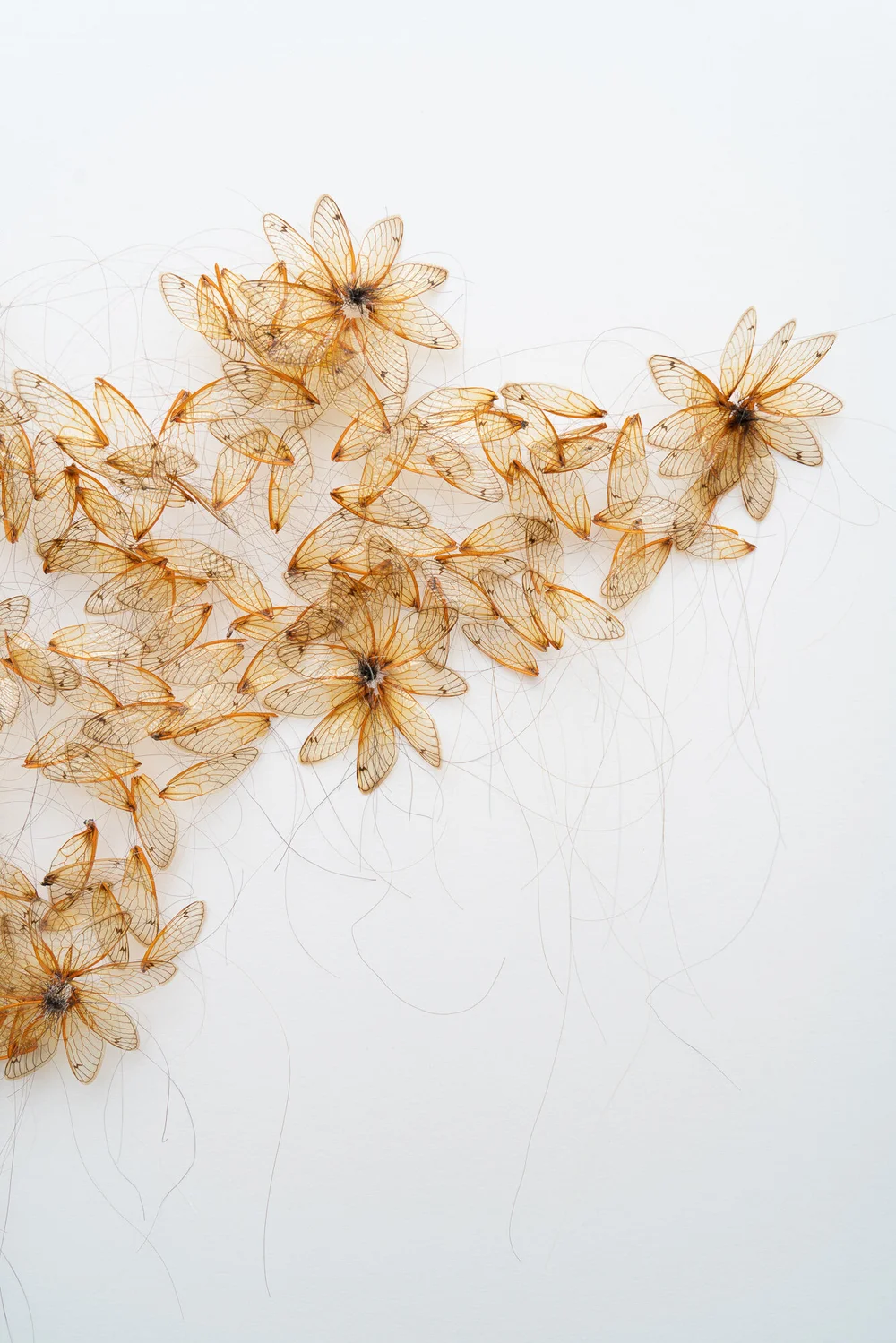 Selva Aparicio is a Spanish-born, Chicago-based artist working across ...