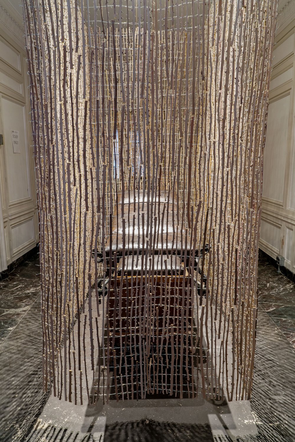 Selva Aparicio is a Spanish-born, Chicago-based artist working across ...