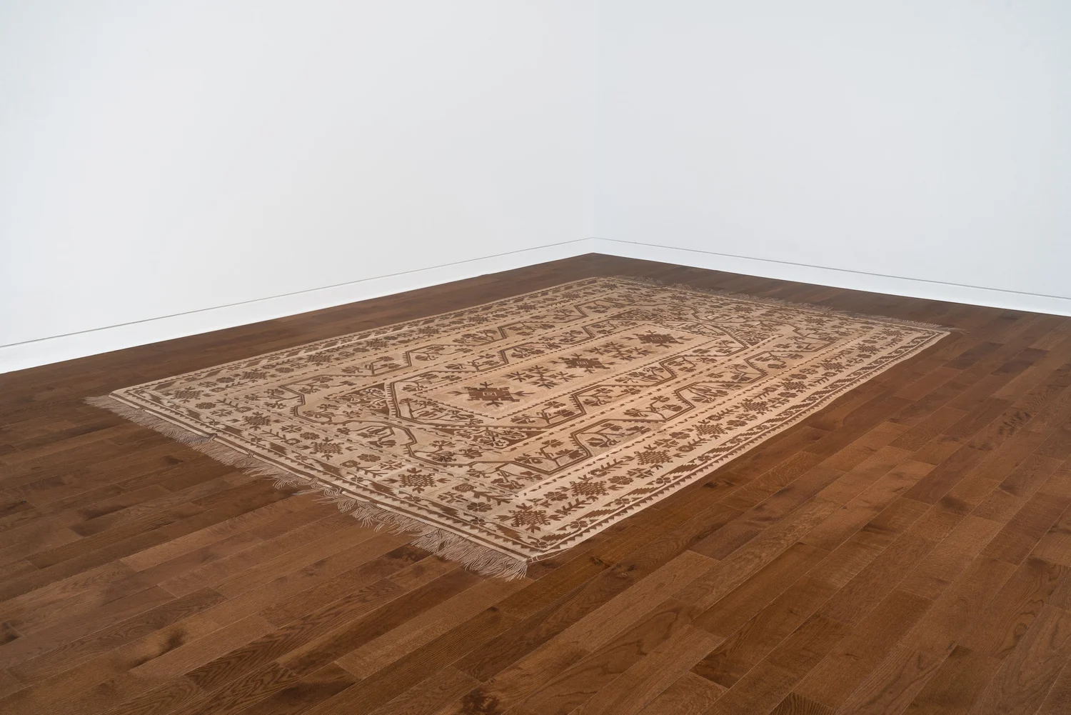 Selva Aparicio is a Spanish-born, Chicago-based artist working across ...