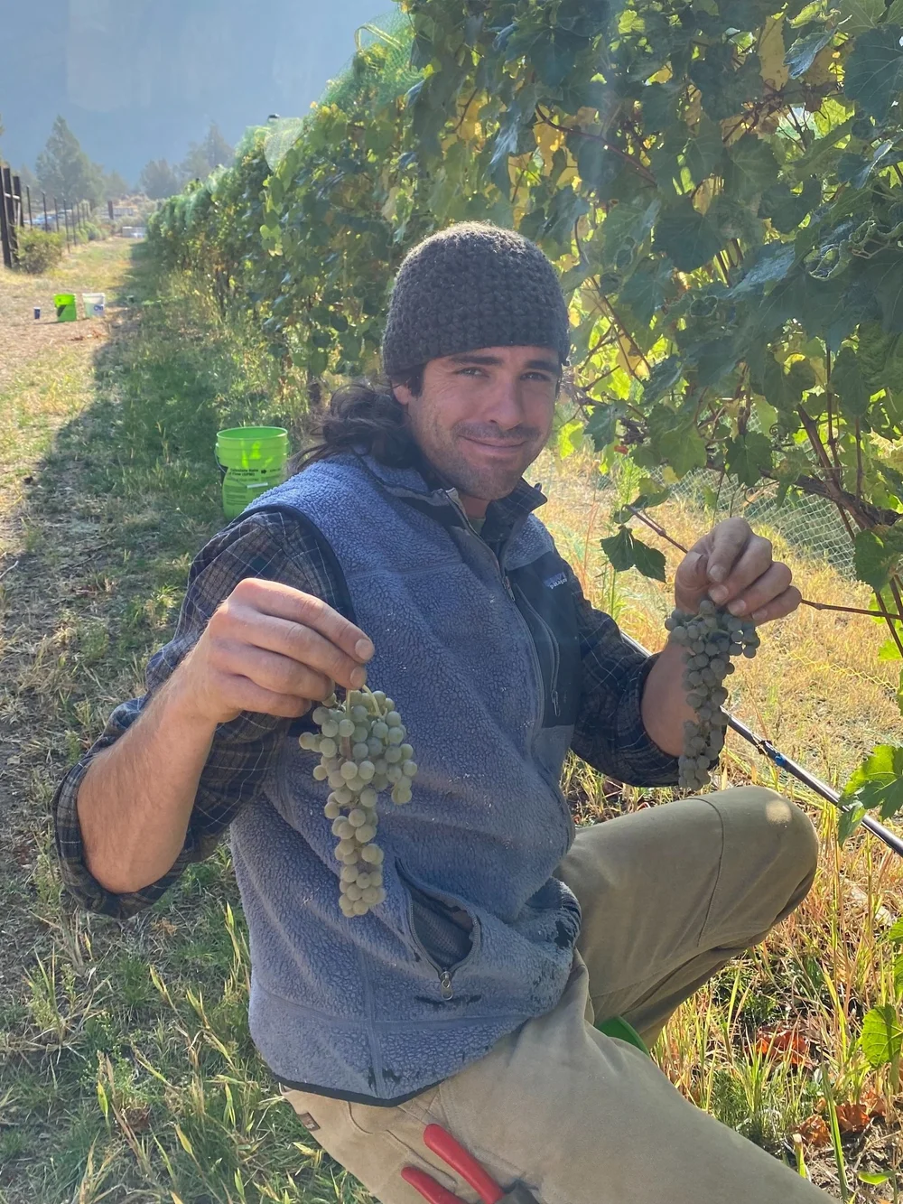 Board of Directors — Oregon Wine Council