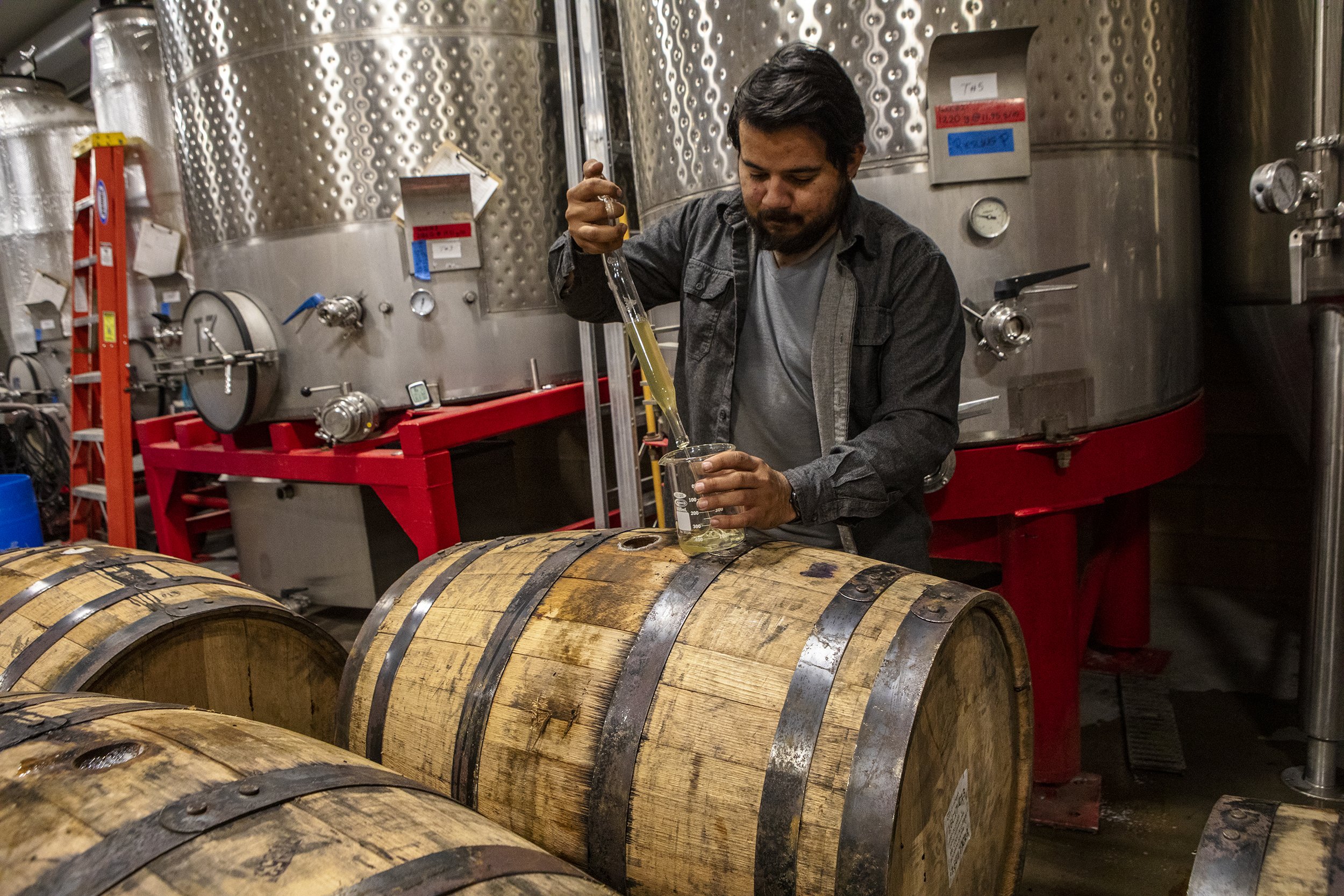 Cellar Tour and Cider Tasting — Fenceline Cider & Wine