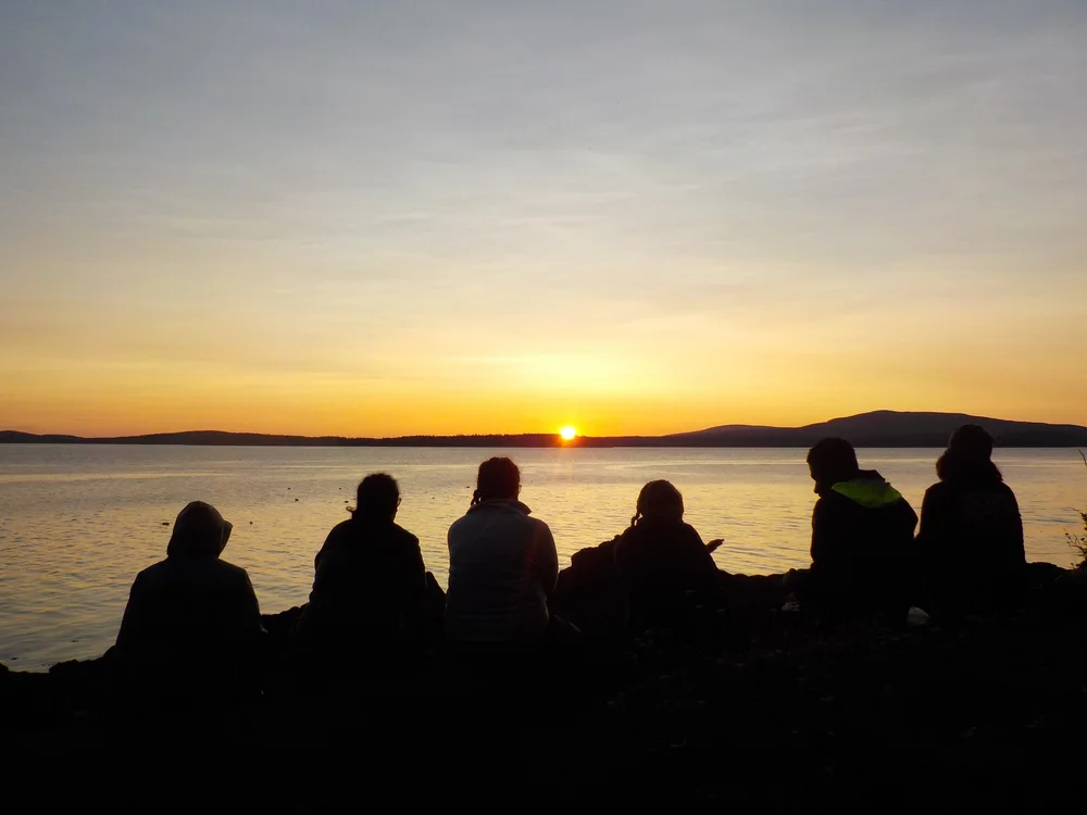 Juniors Nyc Summer Search