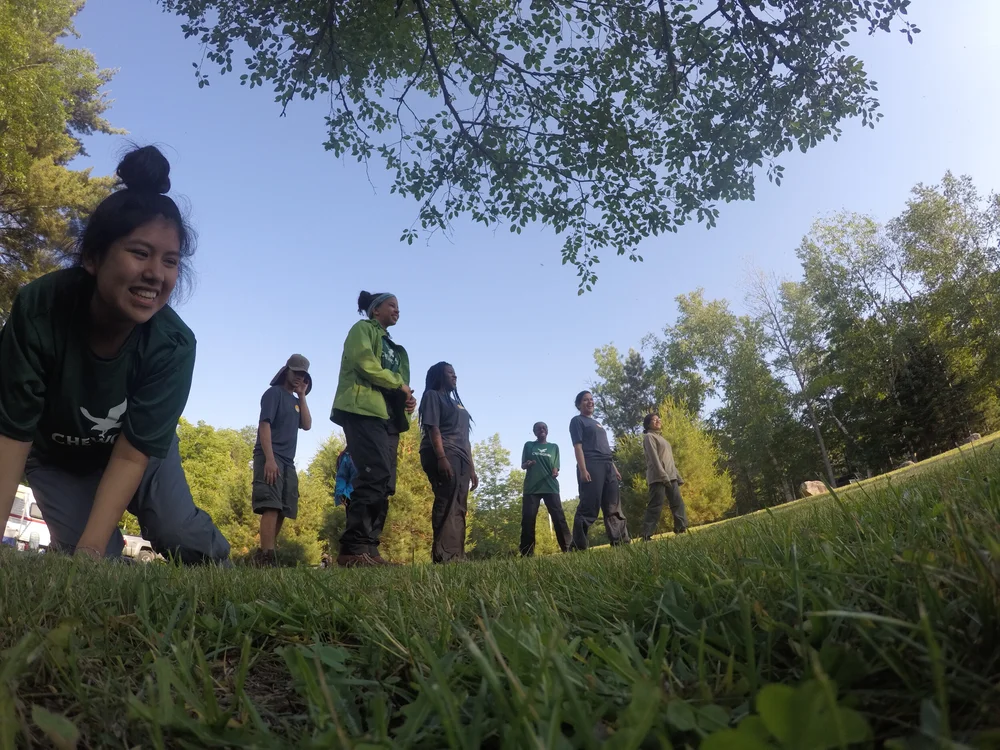 Juniors Nyc Summer Search