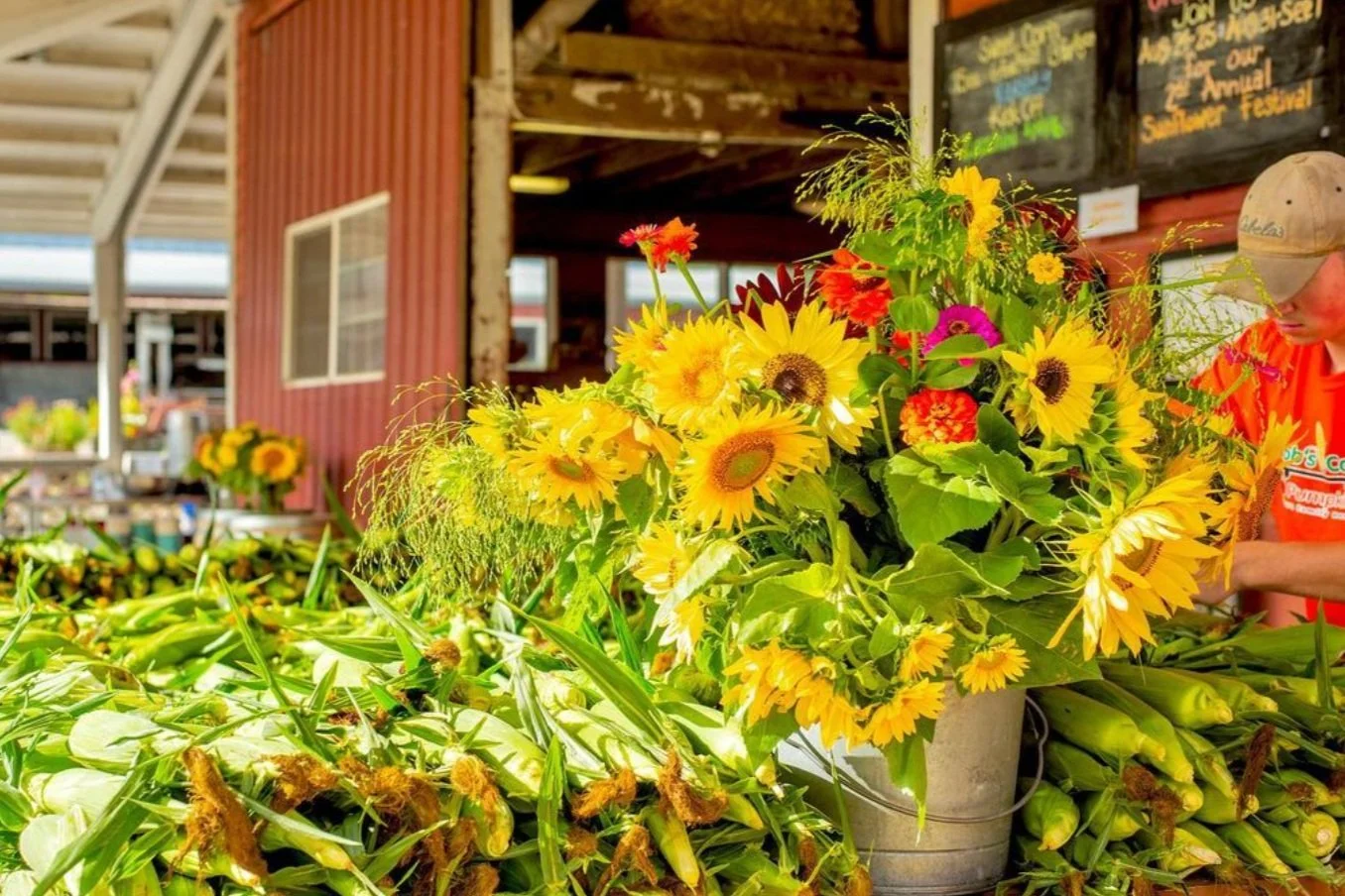 Events — Cut + Flow Studio