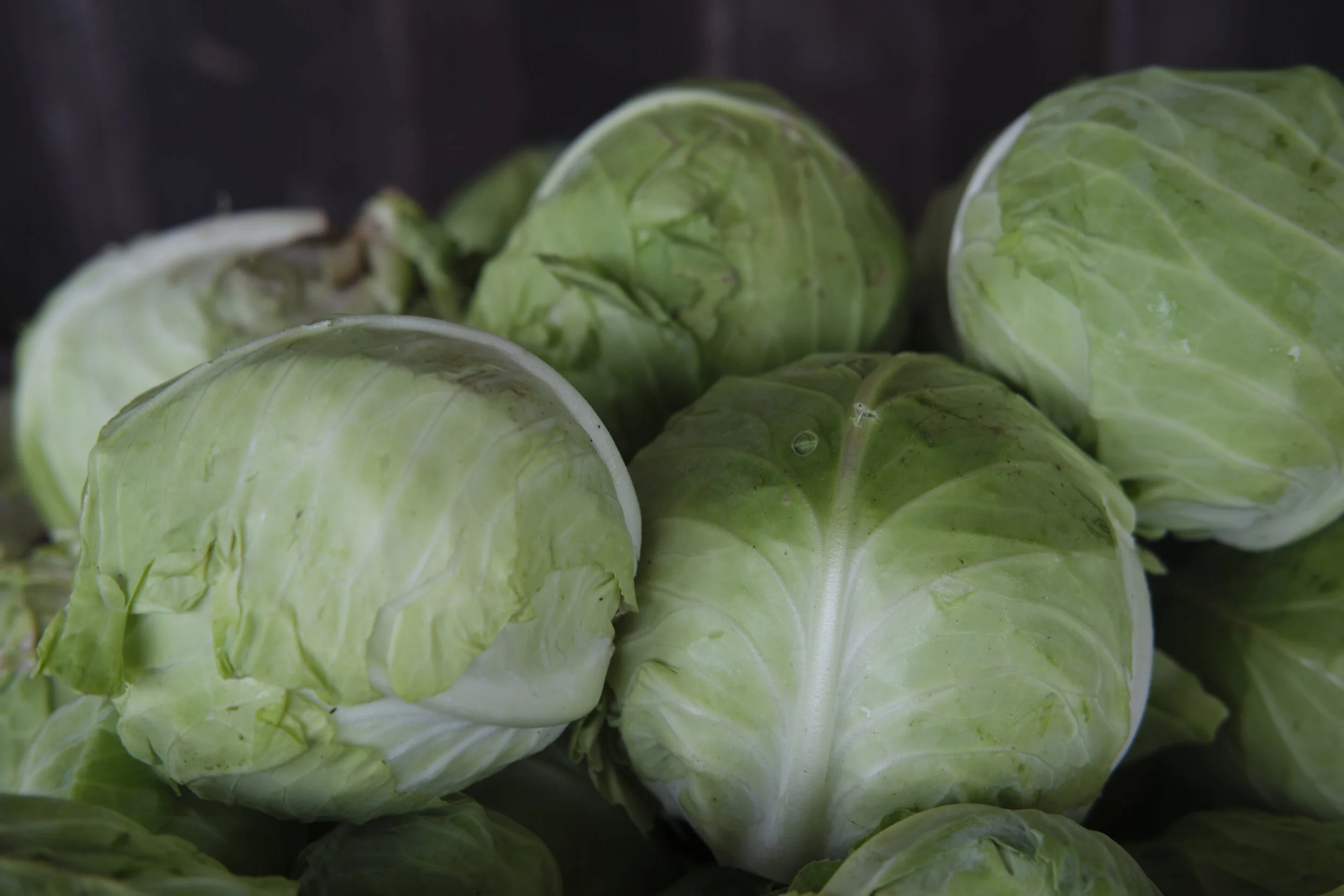 Clagett Farm CSA Share — Clagett Farm