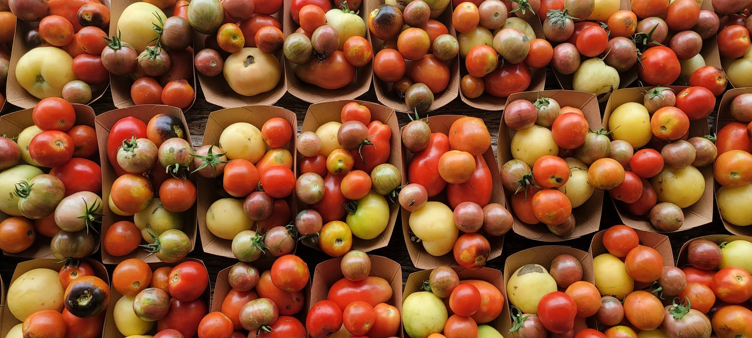 Clagett Farm CSA Share — Clagett Farm
