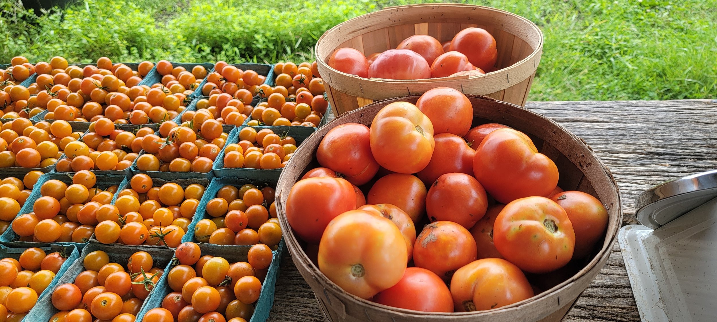 Clagett Farm CSA Share — Clagett Farm