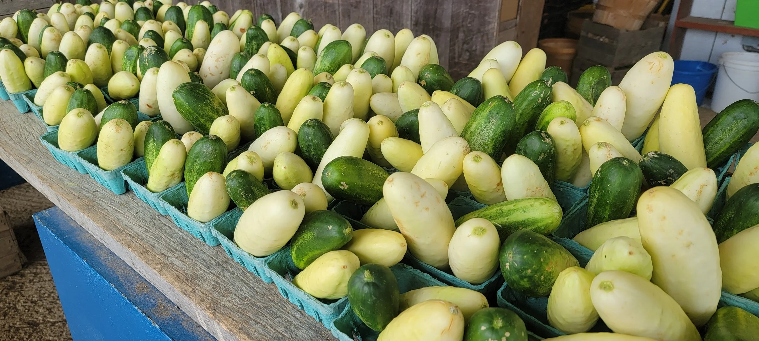 Clagett Farm CSA Share — Clagett Farm