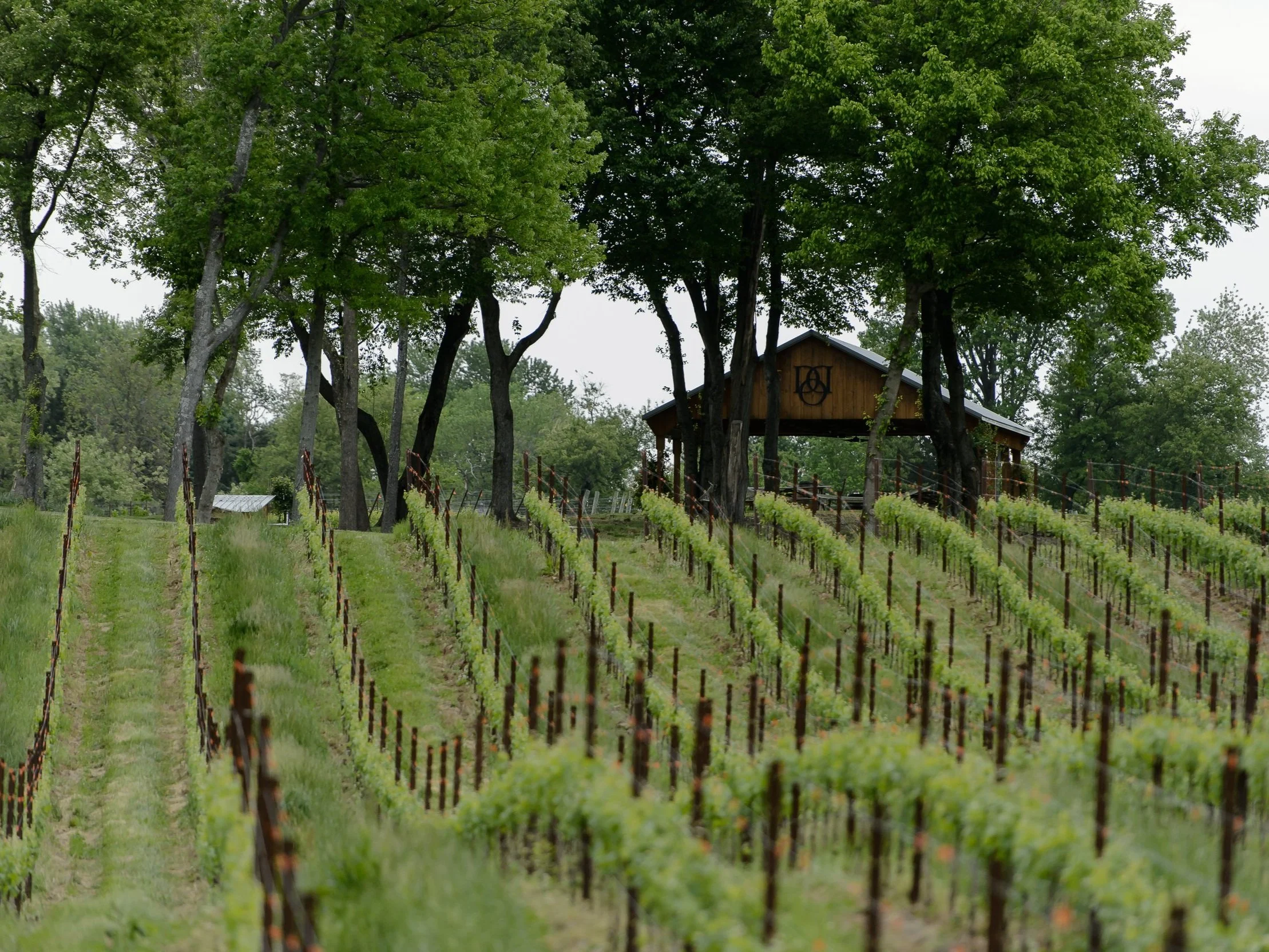 Vegetable CSA — Clagett Farm