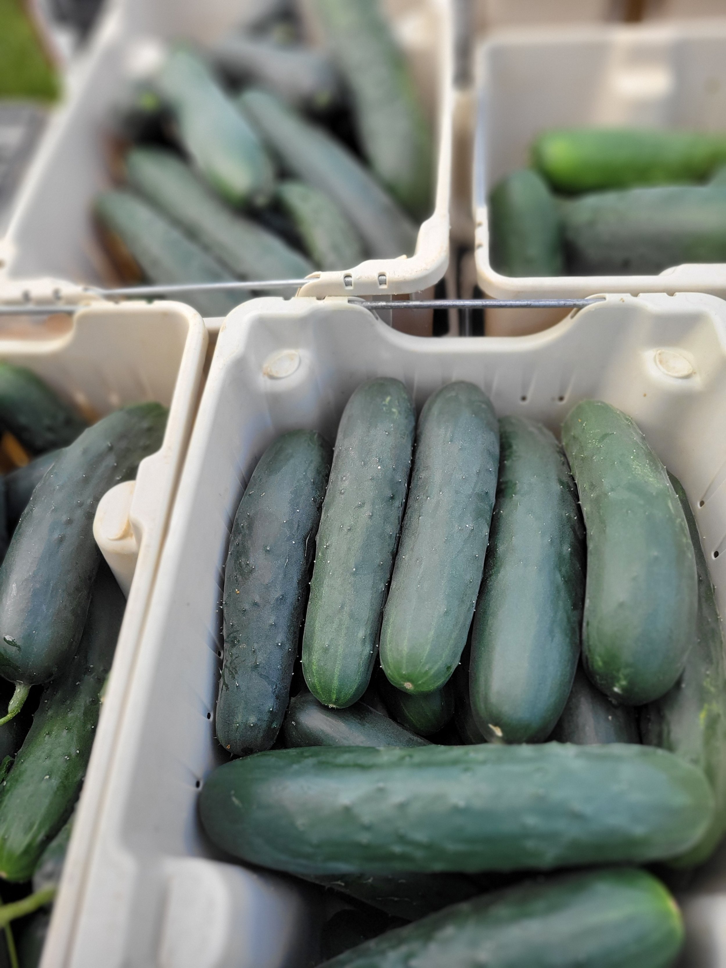 Blog — Clagett Farm