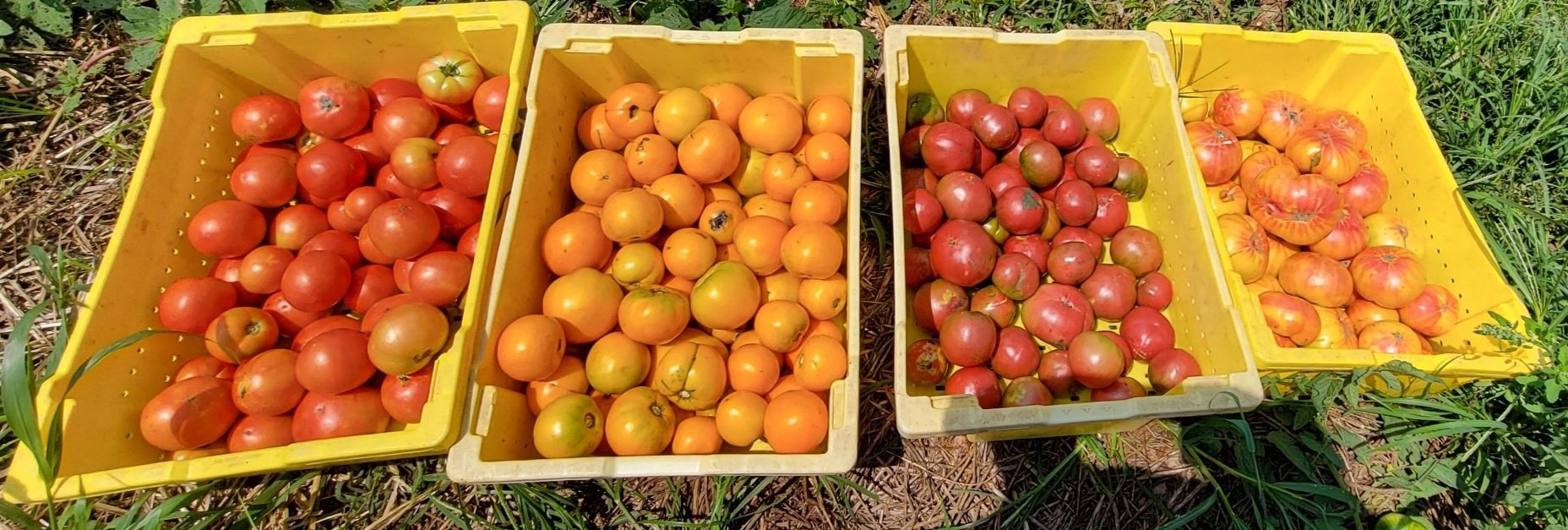 Blog — Clagett Farm