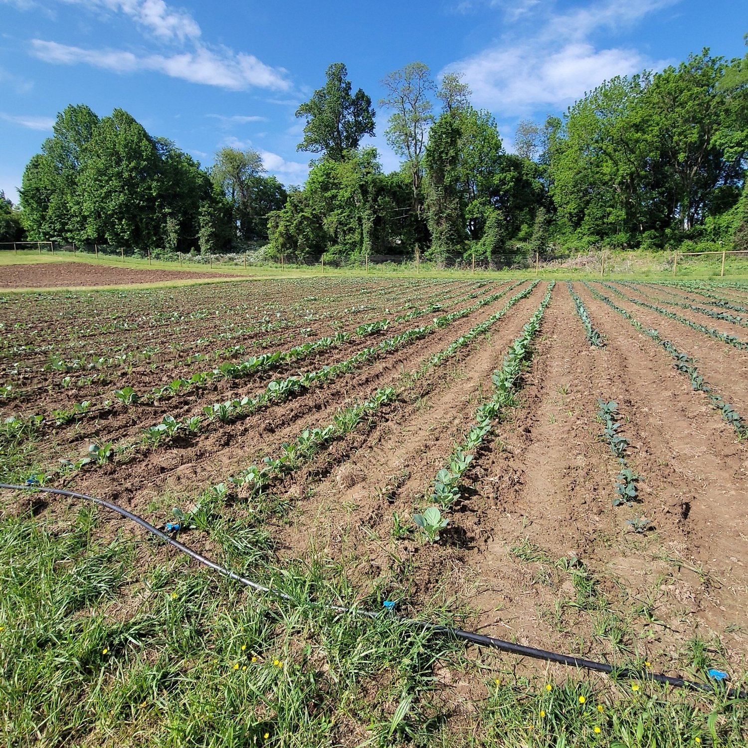 Blog — Clagett Farm