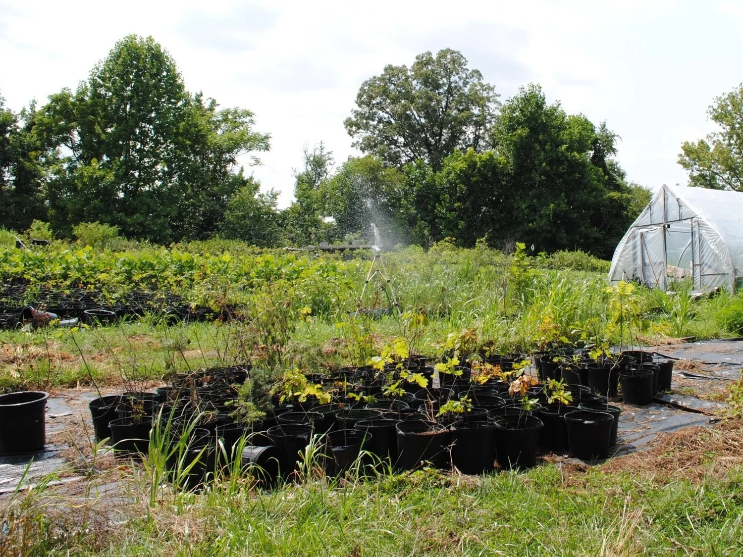 Clagett Farm