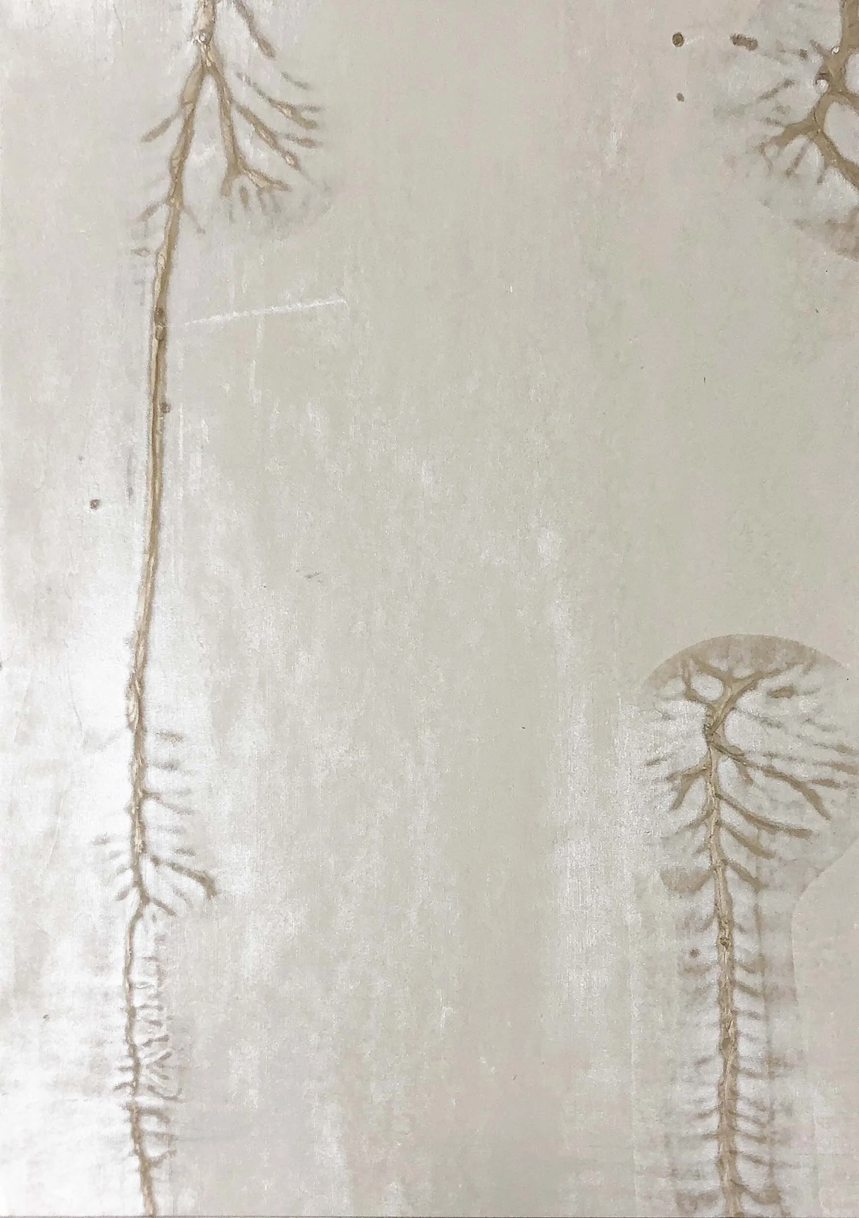 WALLCOVERINGS — Assemblage