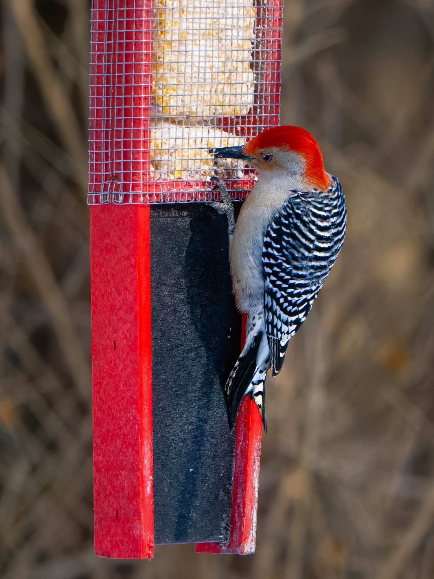 February 2023 POTM — PhotoKenosha Group