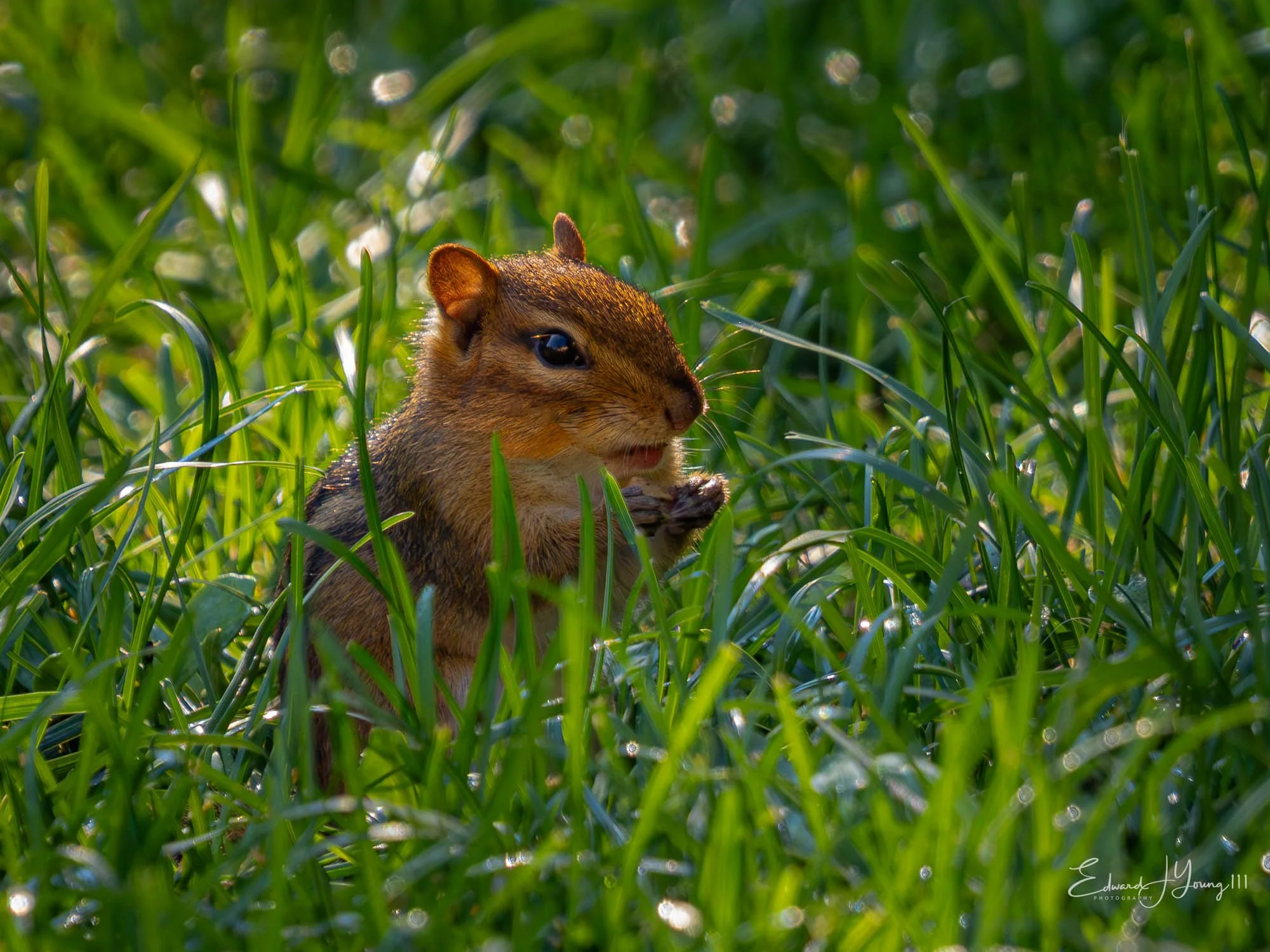 August 2023 POTM — PhotoKenosha Group