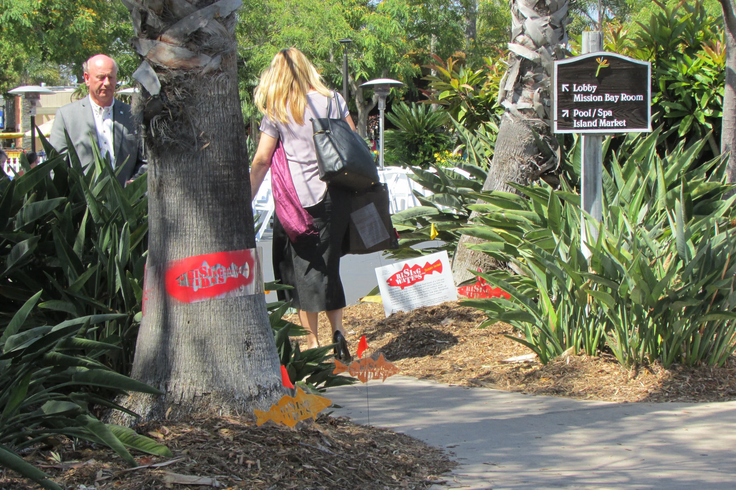 Climate Change Education