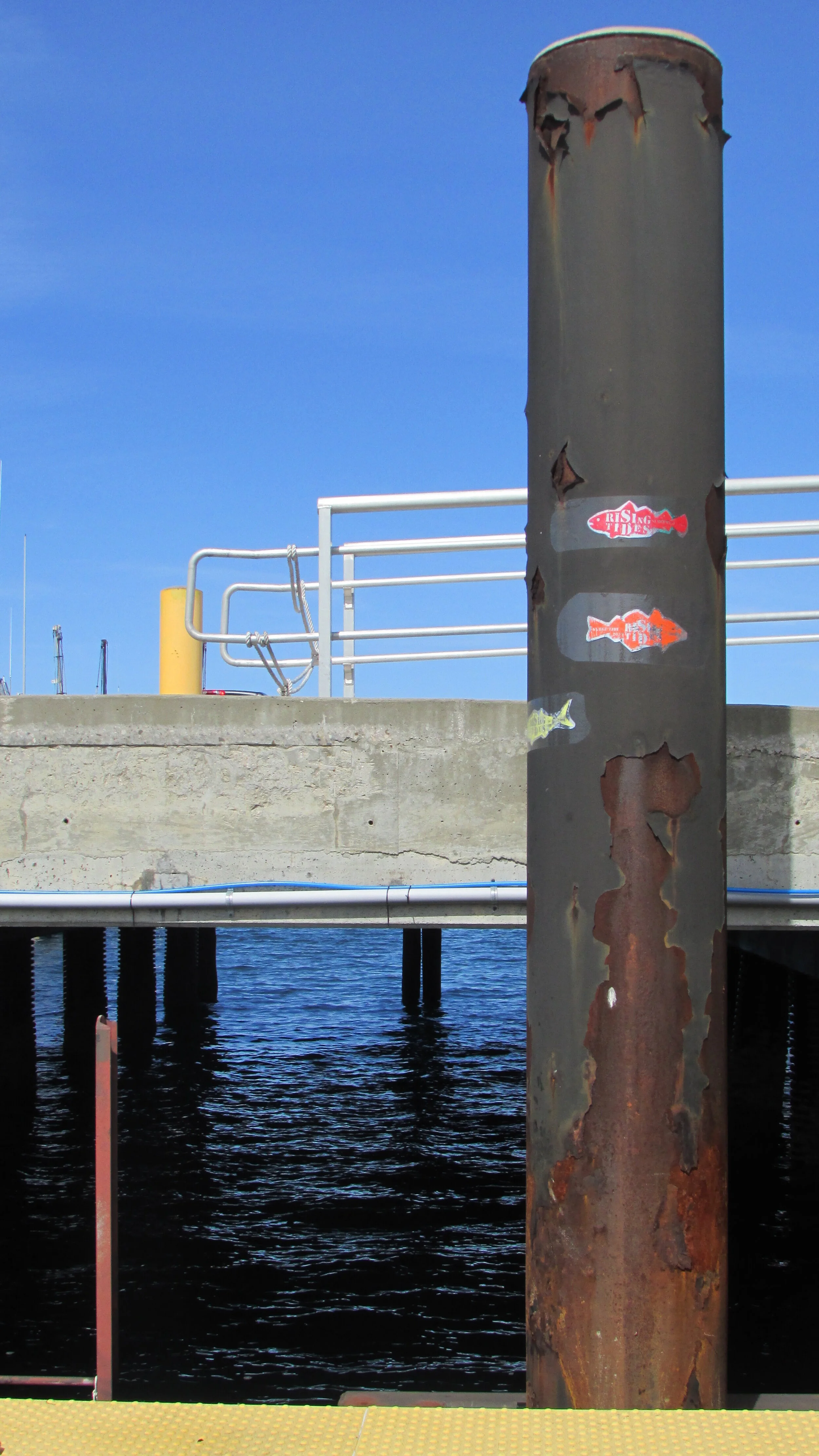 Climate Change Education