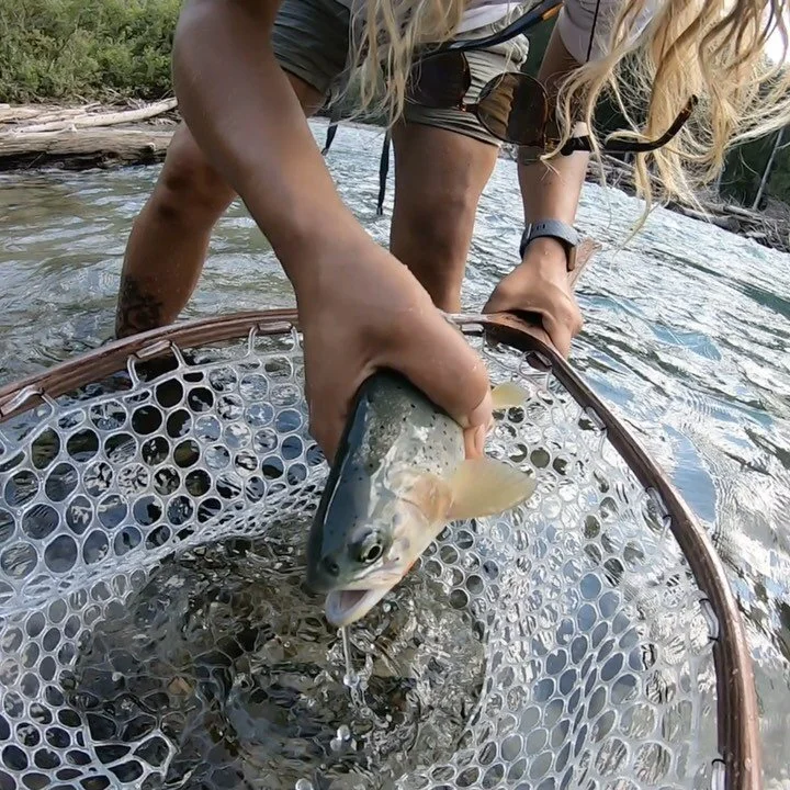 A Quality Angling Guided Experiance