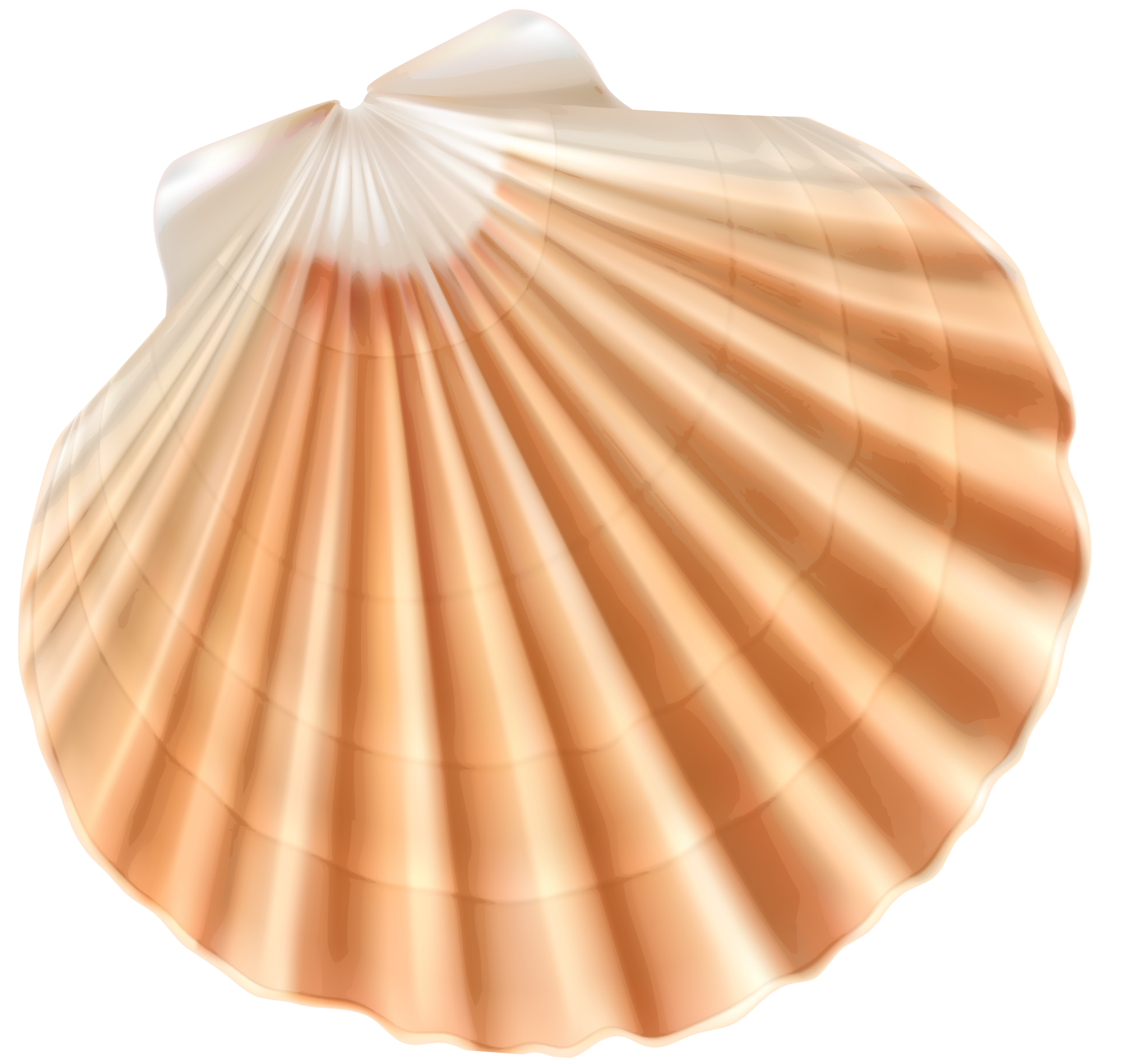 General 2 — sacart