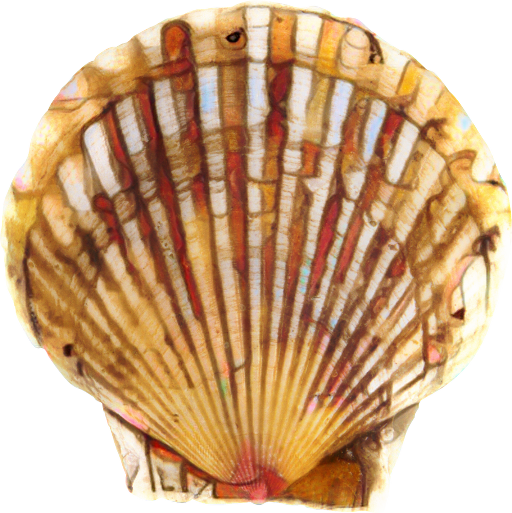 General 2 — sacart