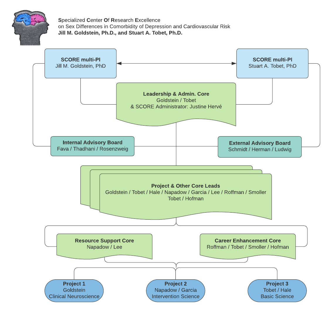 Leadership Admin Core — Innovation Center on Sex Differences in Medicine