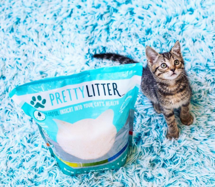 Best Litter — Emotional Support Animal Letter | ESA Letter for Housing ...