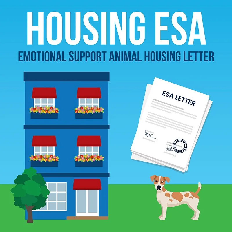 How to Get an ESA Letter for Housing — Emotional Support Animal Letter ...