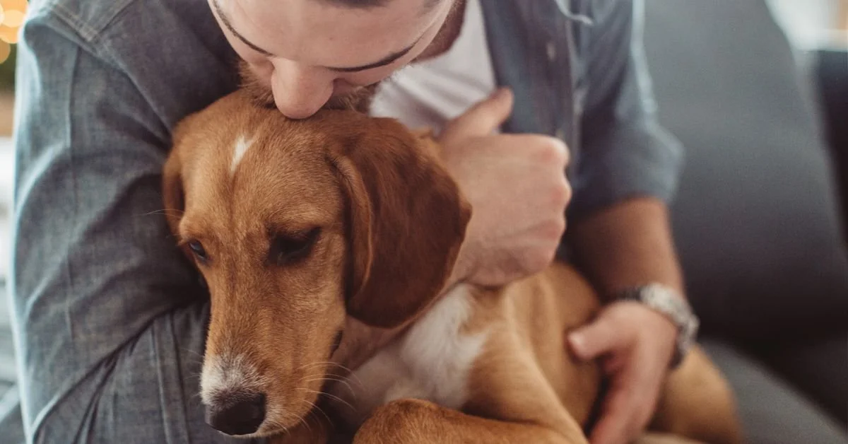 How to Get an ESA Letter in Virginia — Emotional Support Animal Letter ...