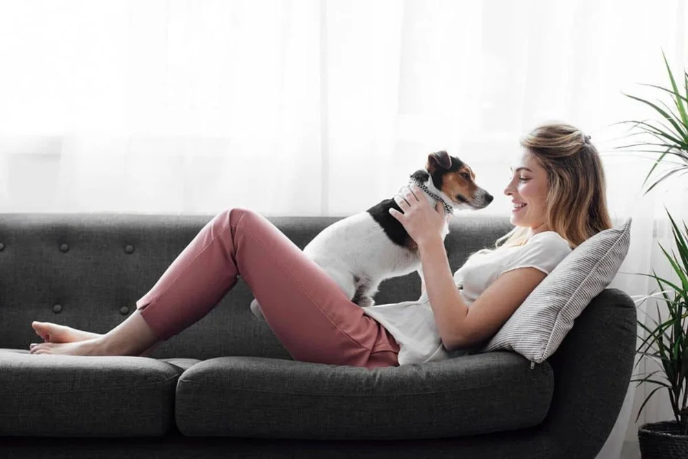 How to Get an ESA Letter in Vermont — Emotional Support Animal Letter ...