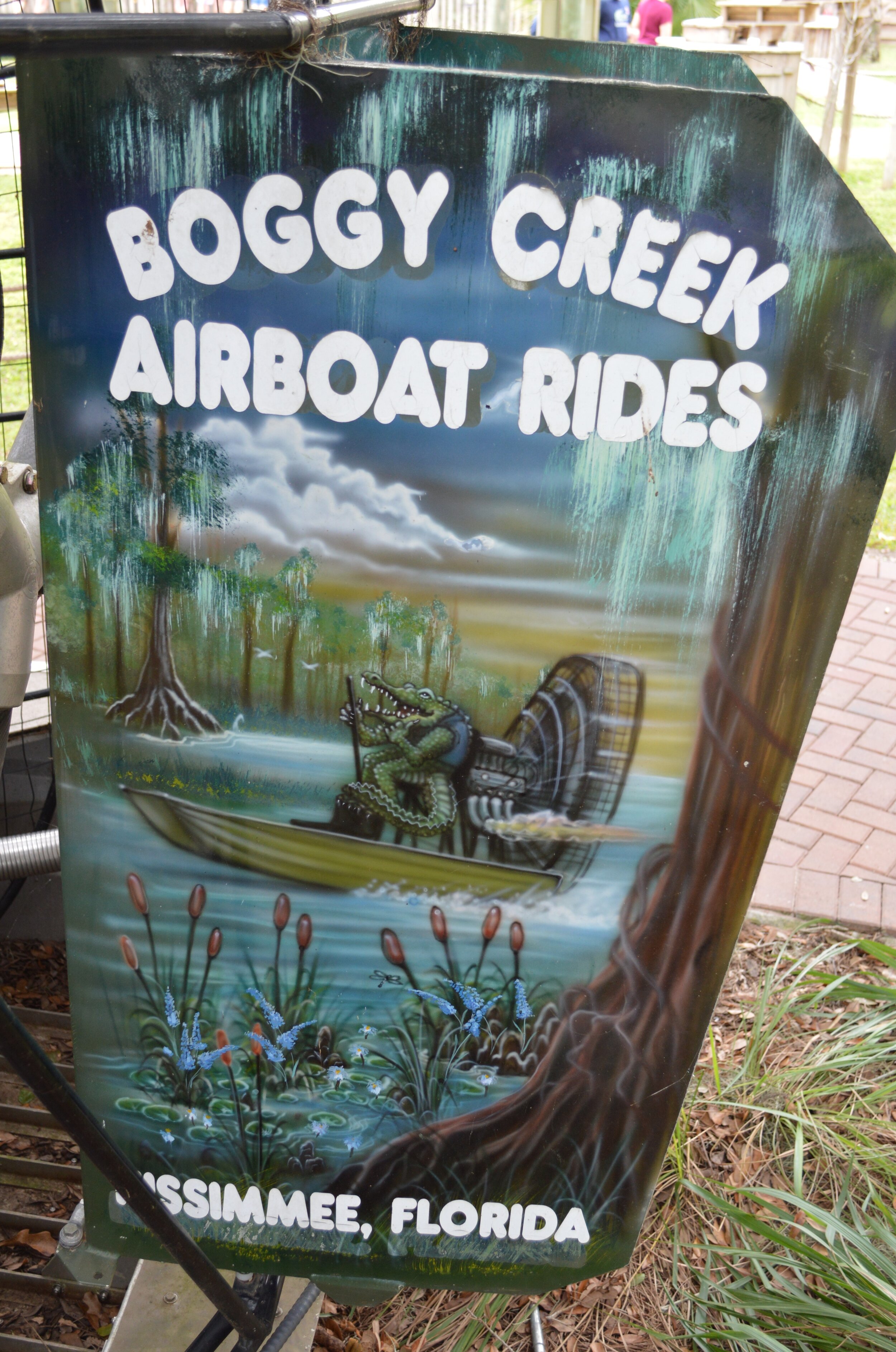 Wild Blue Adventure Company — My Traveling Habit