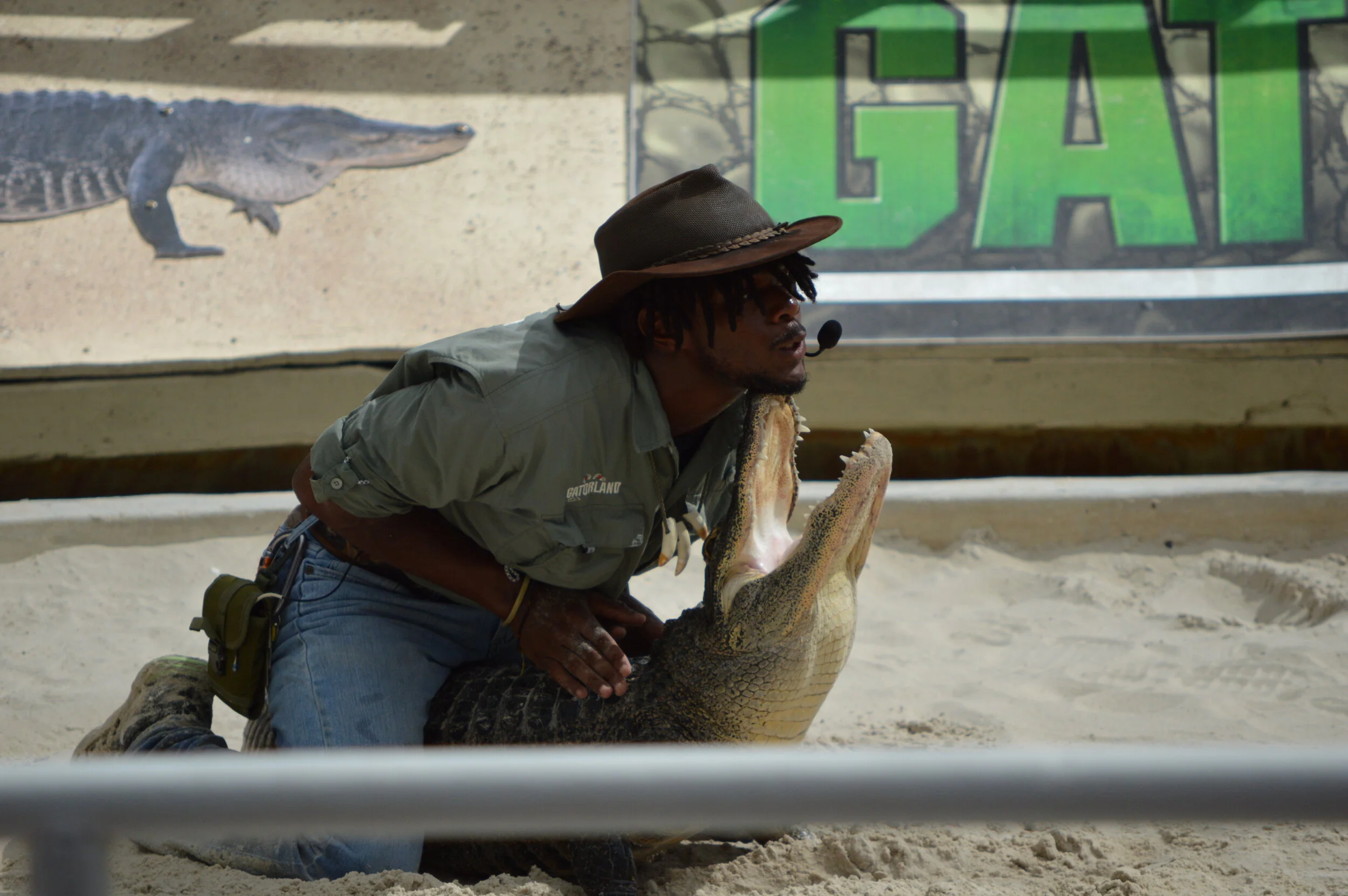 Gatorland — My Traveling Habit