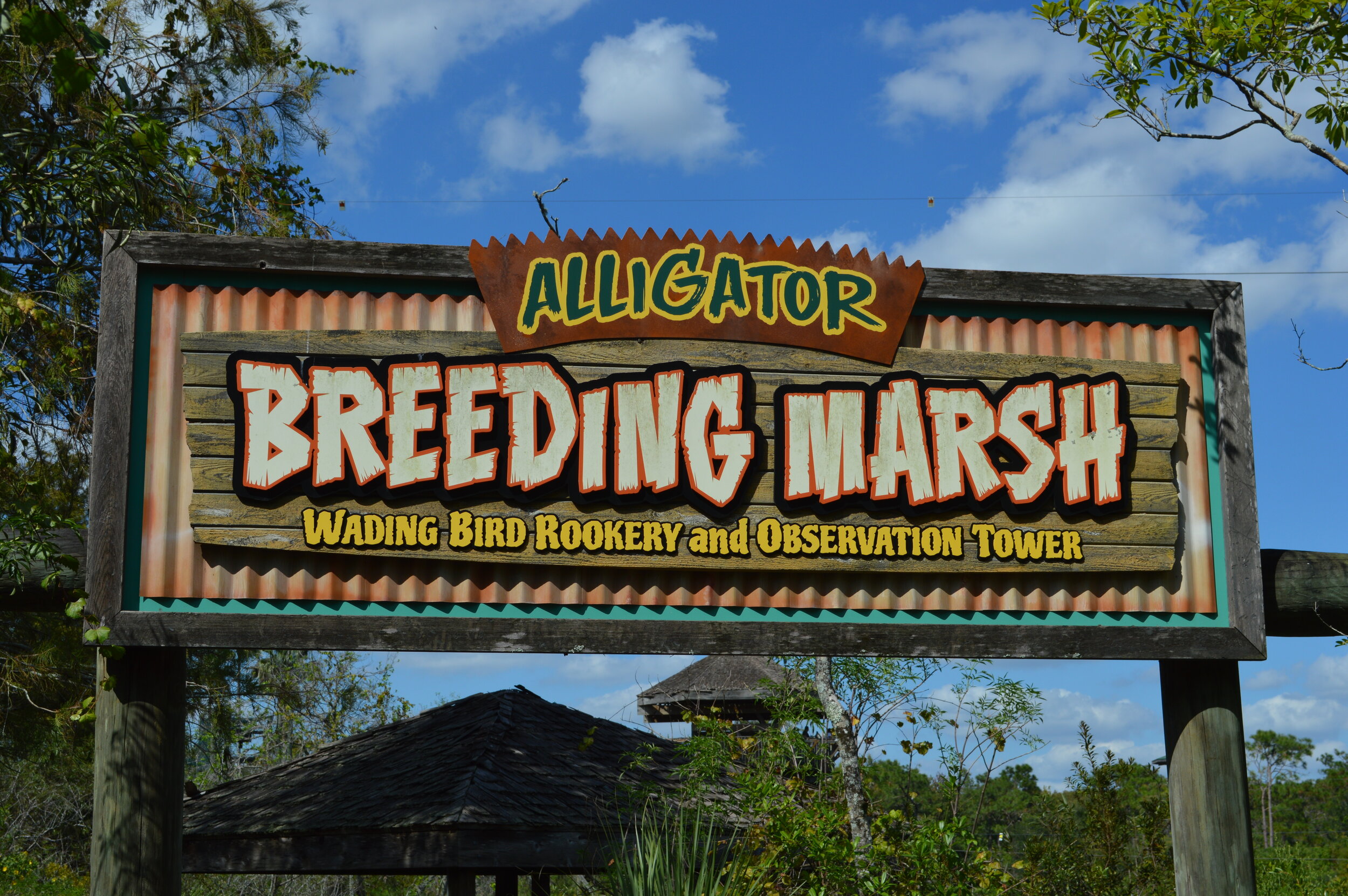 Gatorland — My Traveling Habit