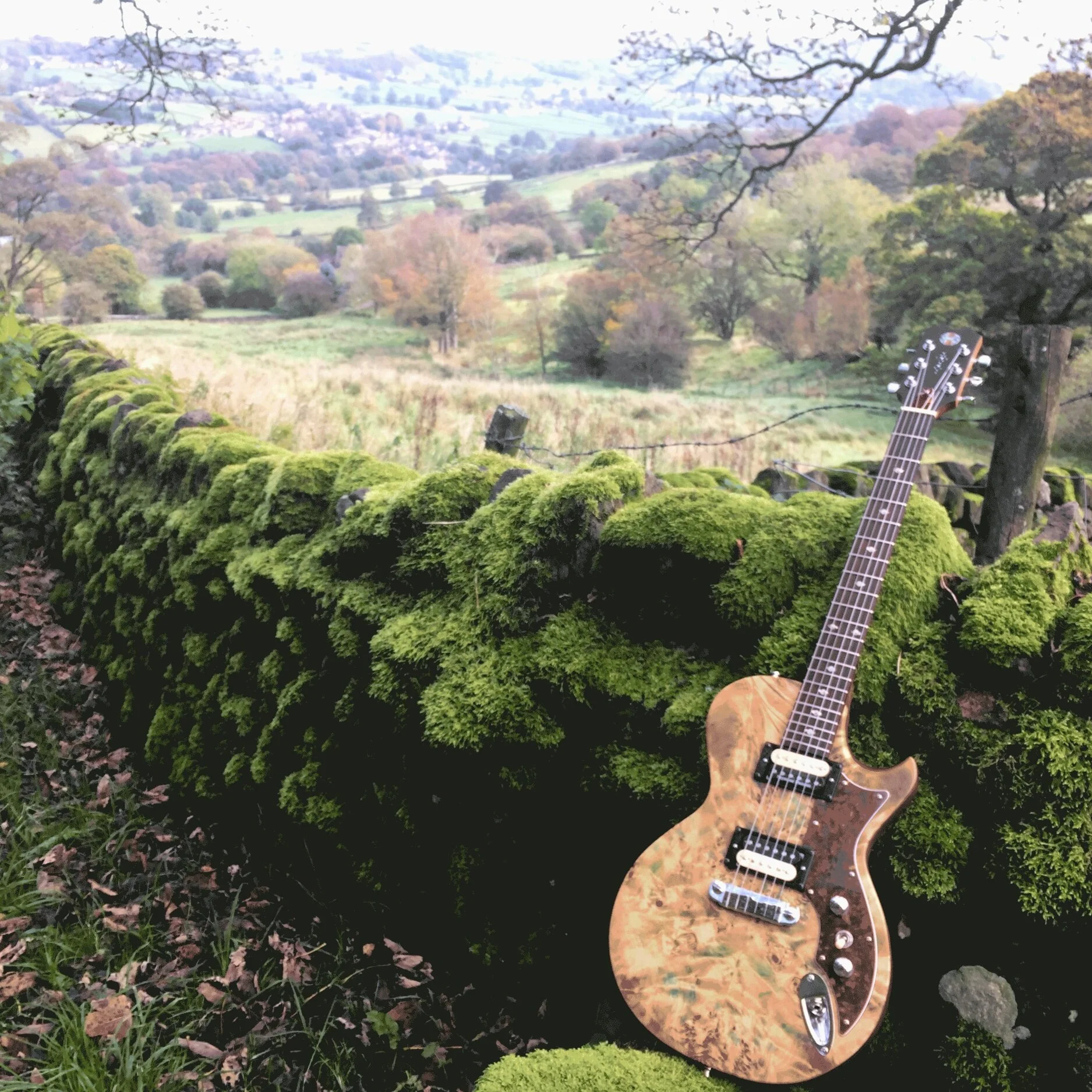 HiGuitarsUK, Handmade Electric Stringed Instruments, Luthier, Yorkshire ...