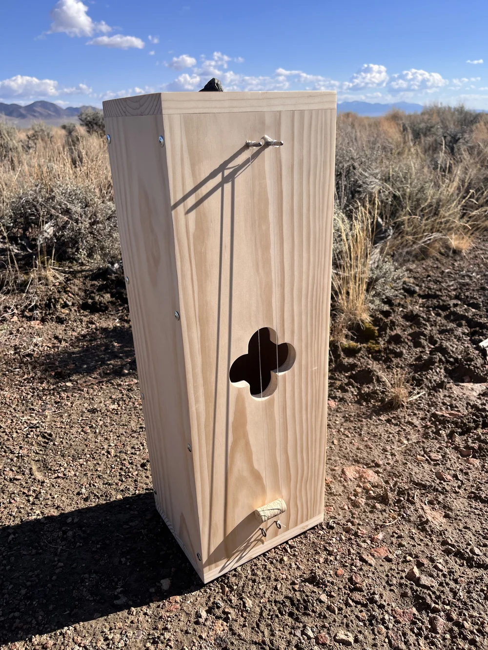 How to Build an Aeolian Harp — The Wind